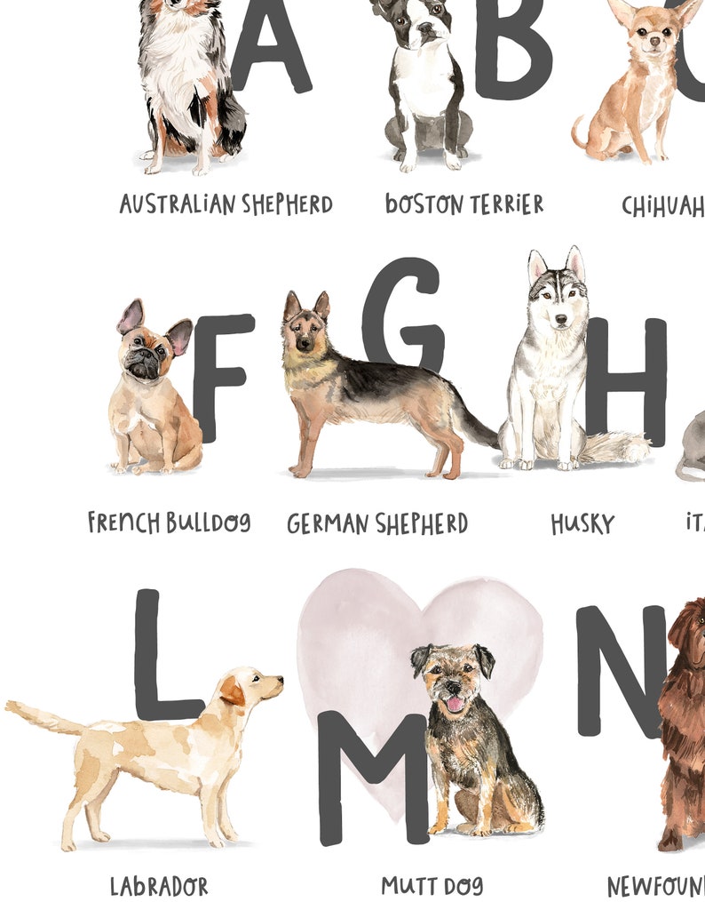 Printable Dog Alphabet A to Z Dog Breeds Print Dog Alphabet - Etsy