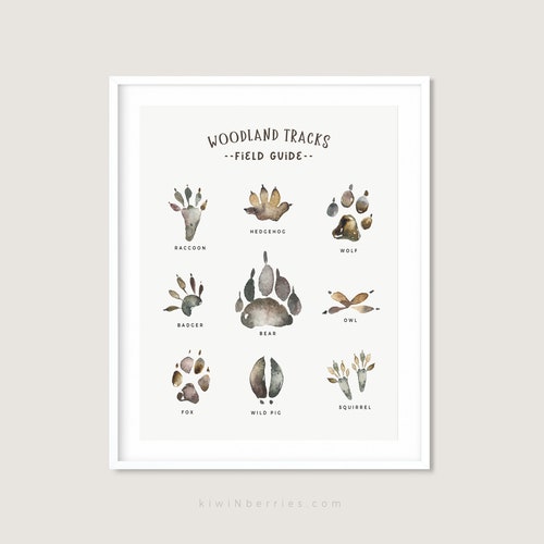 Forest Field Guide Print Animal Tracks Woodland Animal Paw - Etsy