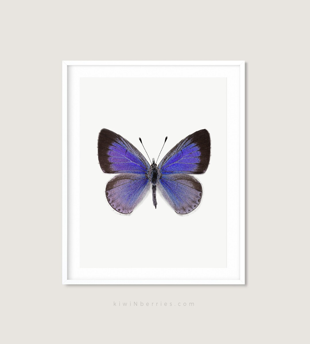 Purple Butterfly Poster, Butterfly Printable, Modern Wall Art, Digital ...