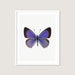 Purple Butterfly Poster Butterfly Printable Modern Wall Art - Etsy