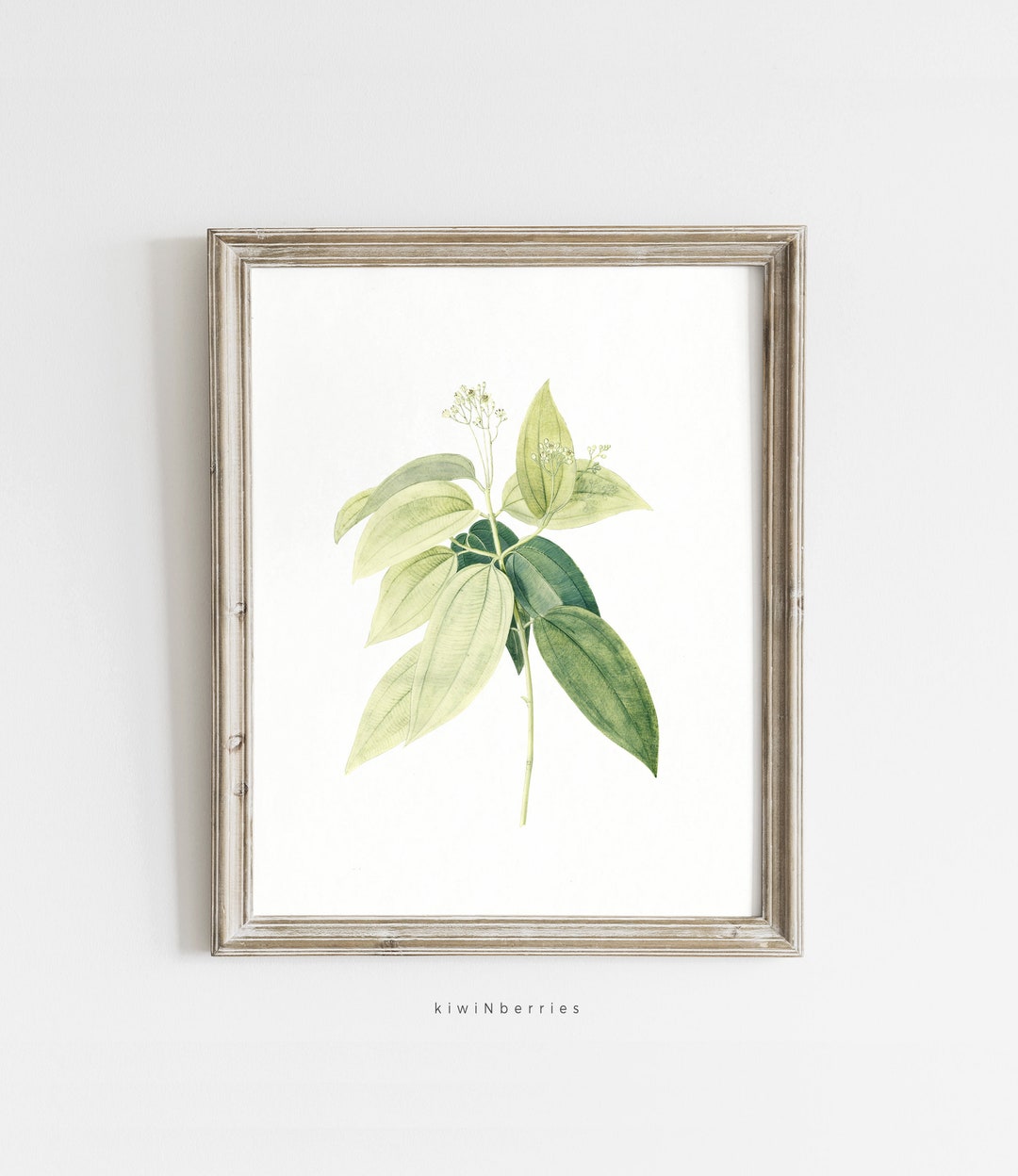 Green Botanical Print, Plants Leaves Prints, Kitchen Wall Decor ...