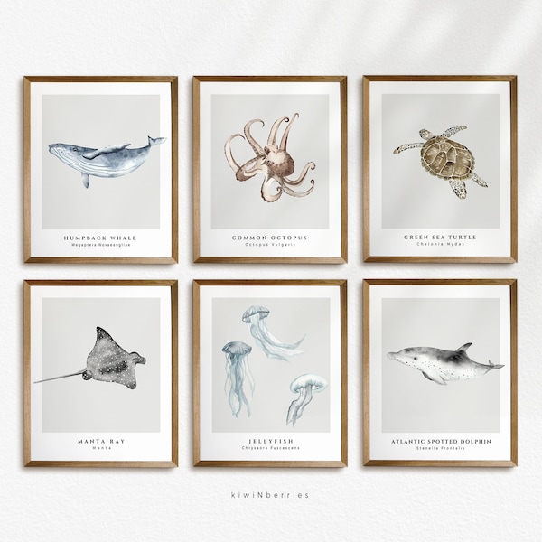 Sea Animals Print - Etsy