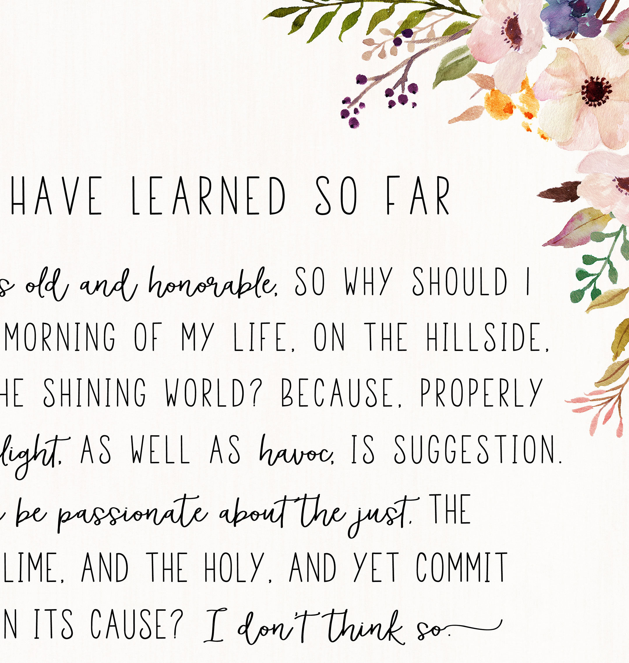 what-i-have-learned-so-far-print-mary-oliver-poem-mary-etsy-uk