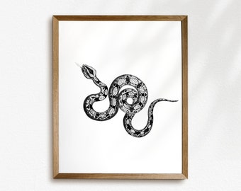 Fat Little Snake Sketch Illustration 8.5 X 11 Black and White Animal ...
