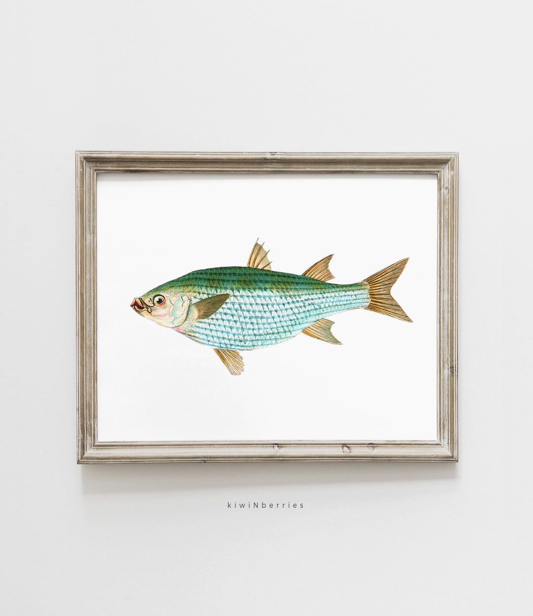 Green Fish Print, Printable Fishing Gift, Vintage Fish Drawing, Nature ...