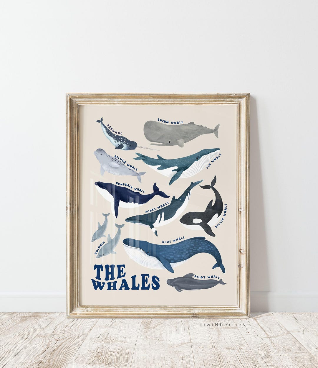Whale Species Chart Print: Ocean Creature Poster (digital Download) - Etsy