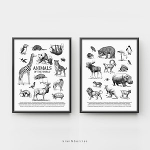 Animals of the World Poster, Animal Chart Print, Education Learning ...