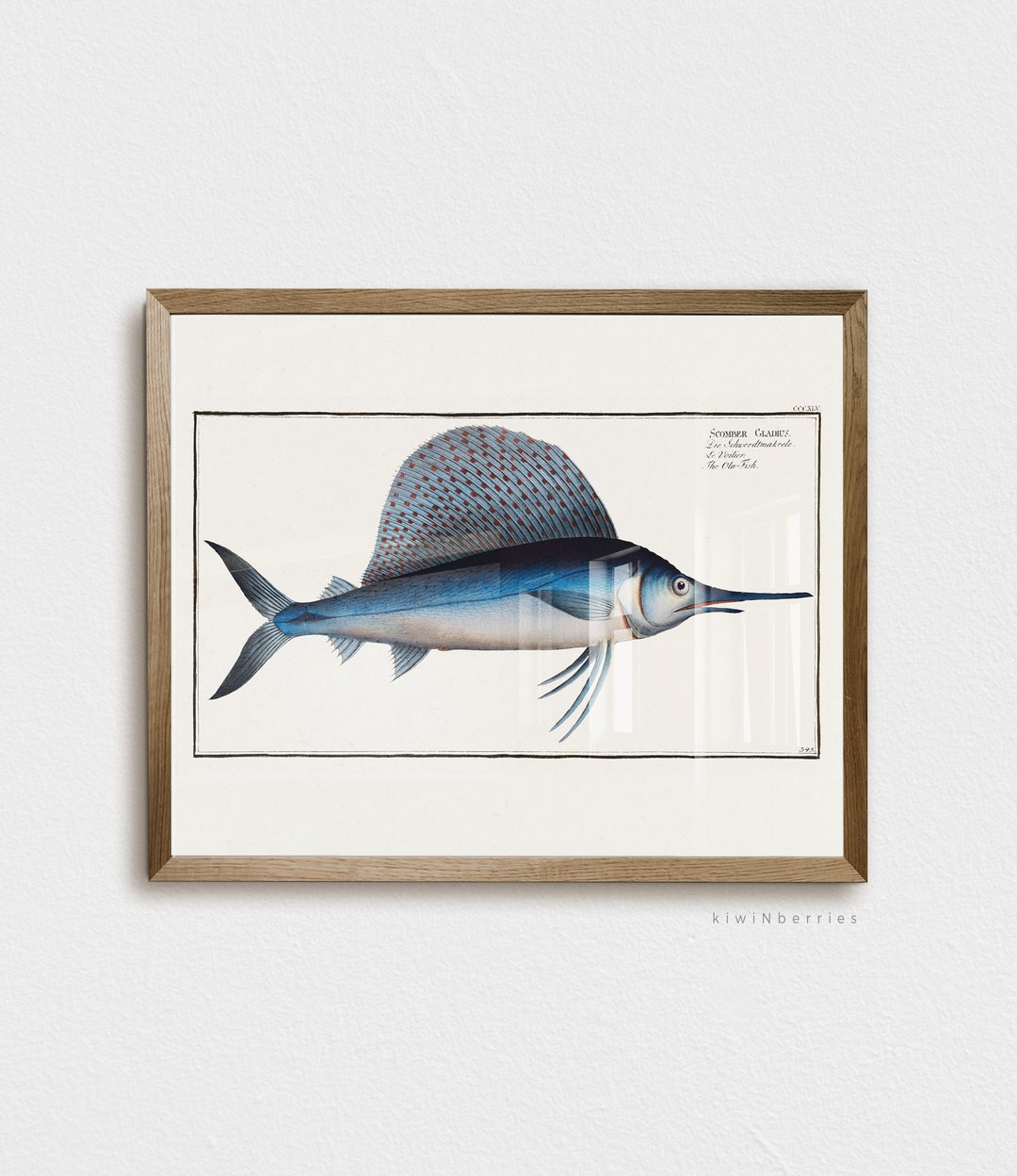 Old Swordfish Print, Vintage Swordfish Poster, Digital Printable, Ocean ...