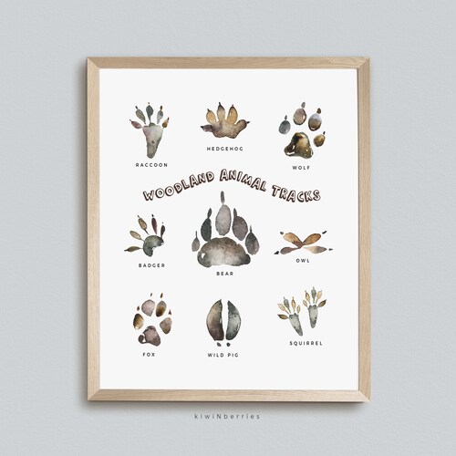 Printable Animal Tracks Poster-woodland Animals Print-outdoor - Etsy