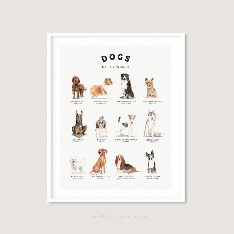 Dog Breeds Poster - Etsy
