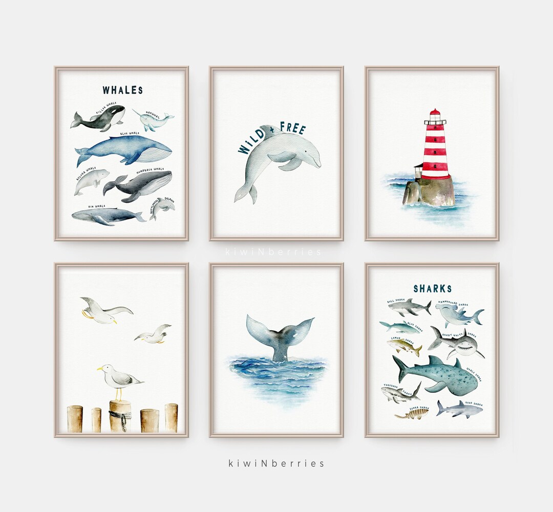 Ocean Prints for Kids, Whales and Sharks Species, Sea Wall Art, Sea ...