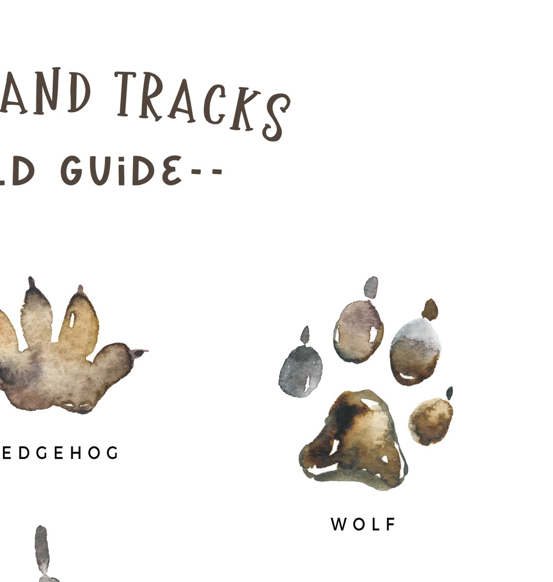 Forest Field Guide Print Animal Tracks Woodland Animal Paw | Etsy