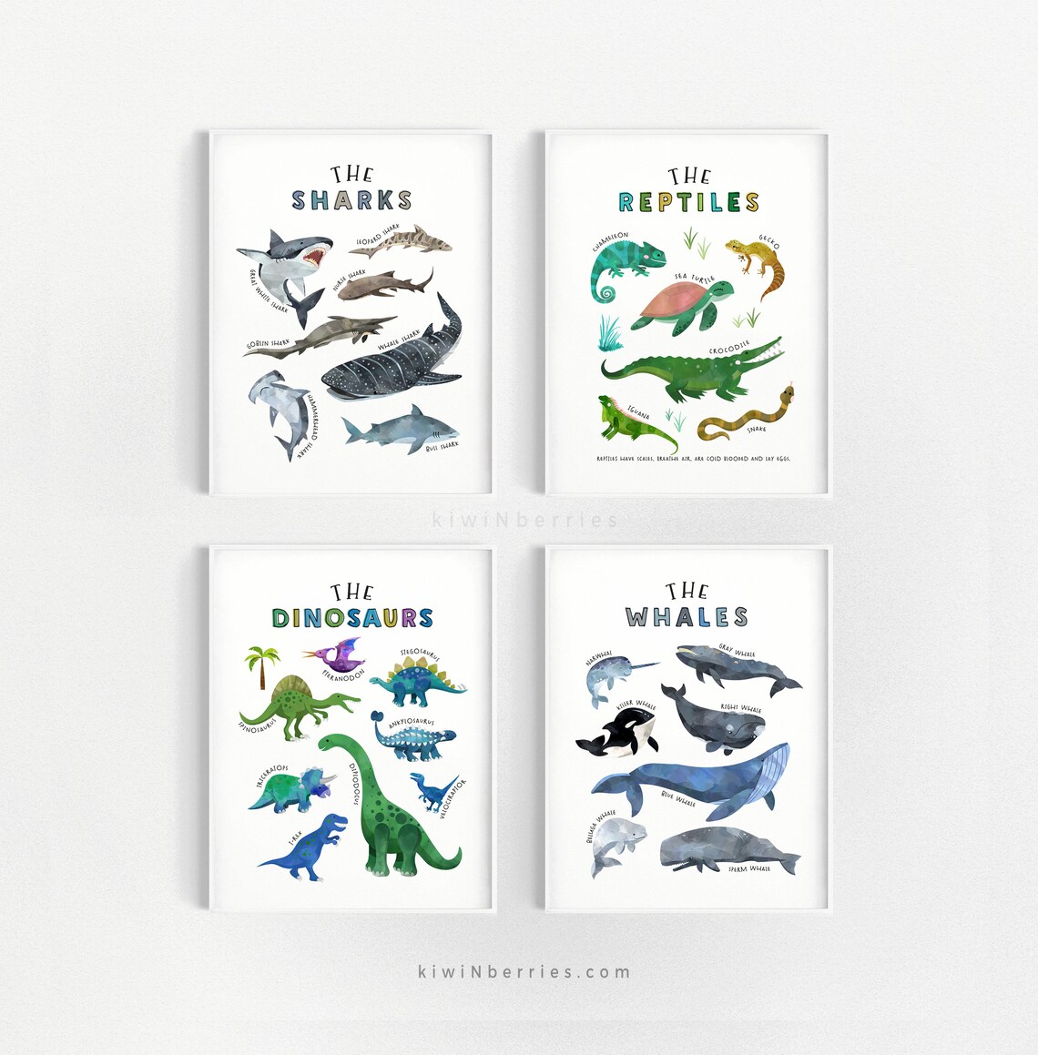 Sharks Wall Art Printable Shark Chart Shark Species Art | Etsy
