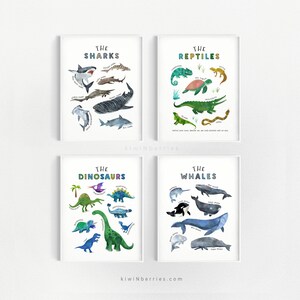 Sharks Wall Art, Printable Shark Chart, Shark Species Art, Boys Room ...