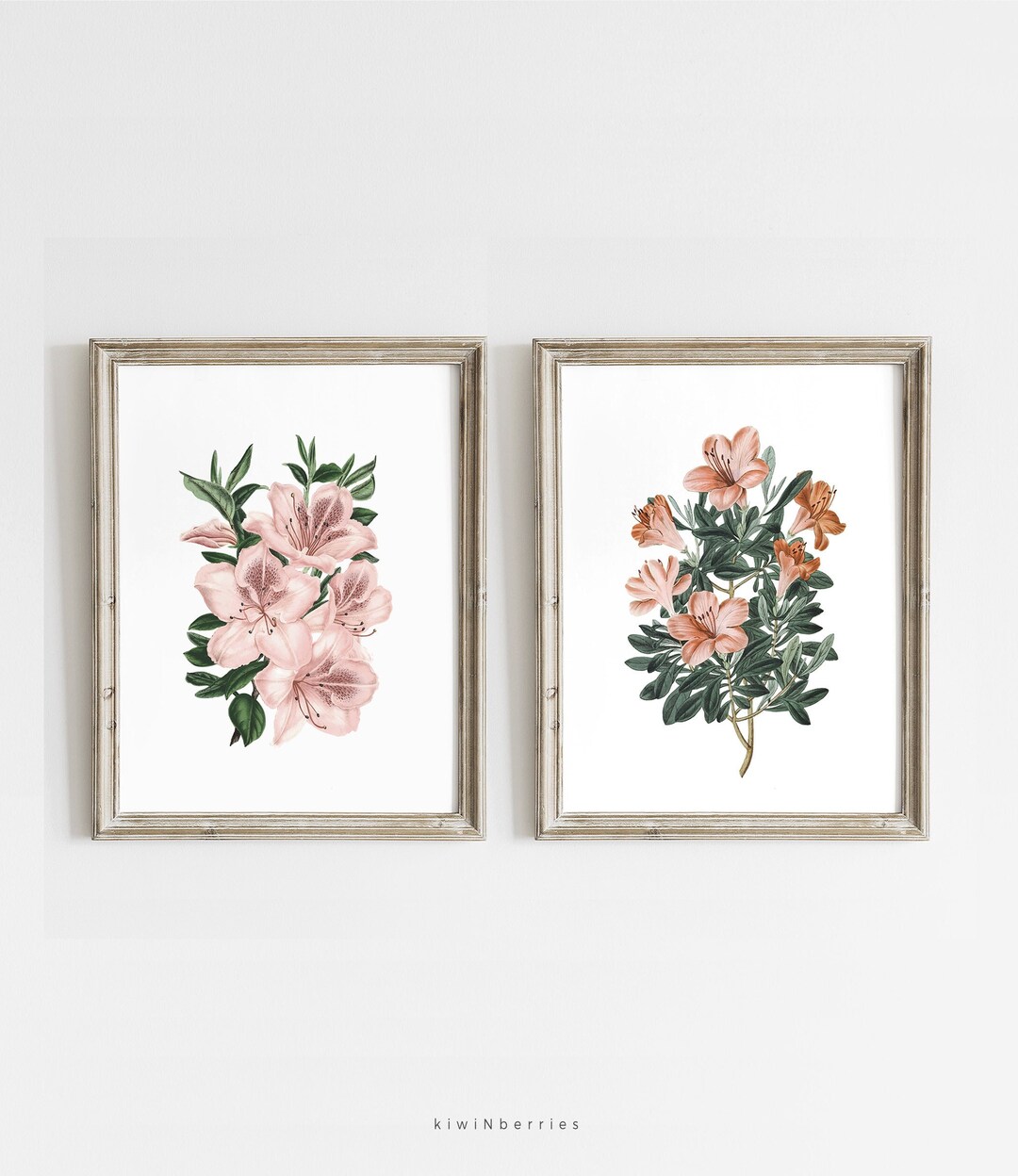 Azalea Prints, Set of 2 Antique Printables, Azalea Flower Poster, Muted ...