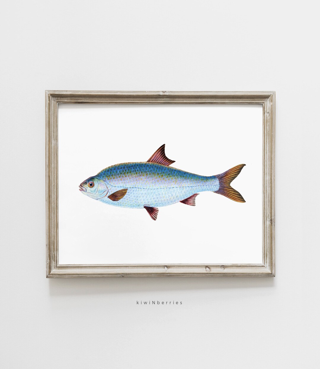 Blue Fish Print, Printable Fishing Gift, Vintage Fish Drawing, Nature ...