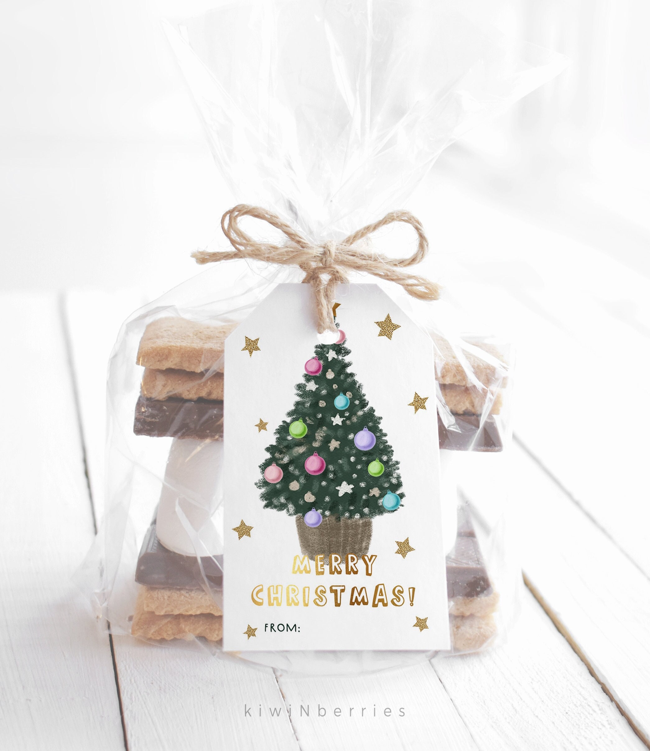 Christmas Tags for Classmates and Friends Treat Bags Tags | Etsy