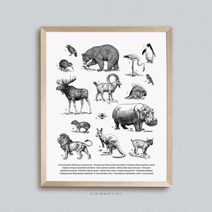 Animals of the World Poster, Animal Chart Print, Education Learning ...