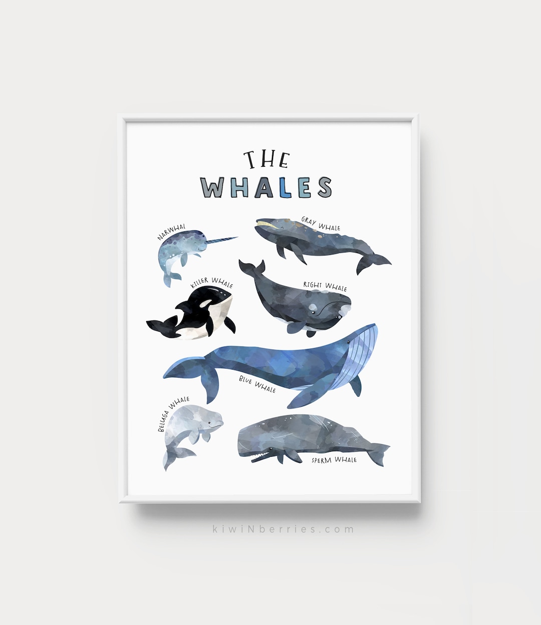 Whales Wall Art, Printable Whale Chart, Whale Species Art, Boys Room ...