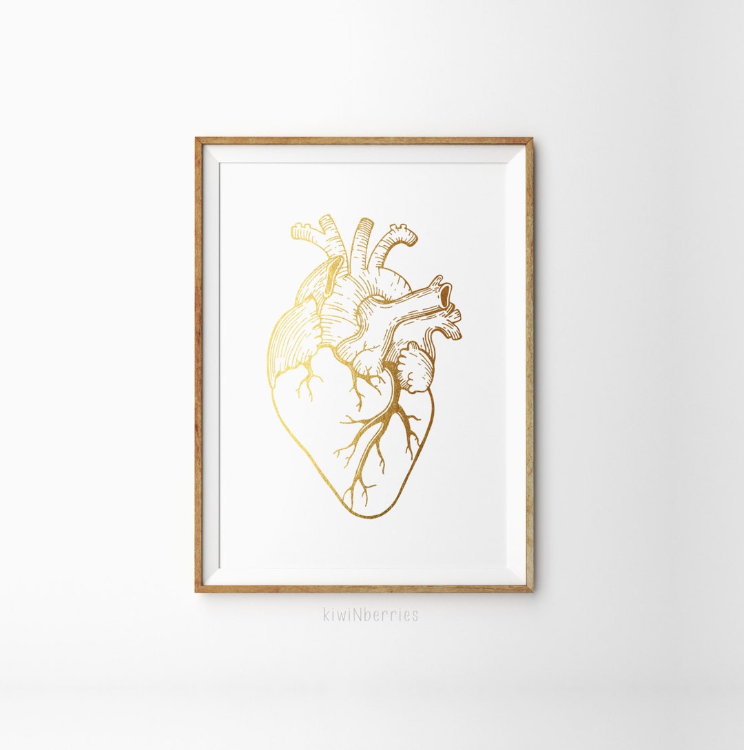 Anatomy Heart Print - Anatomical Heart Print - Anatomical Print ...