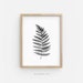 Leaf Art Set Watercolor Leaves Wall Art Black and White Prints ...