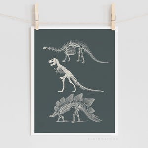 Dinosaur Skeleton Print: Kids Paleontologist Poster (digital Download ...