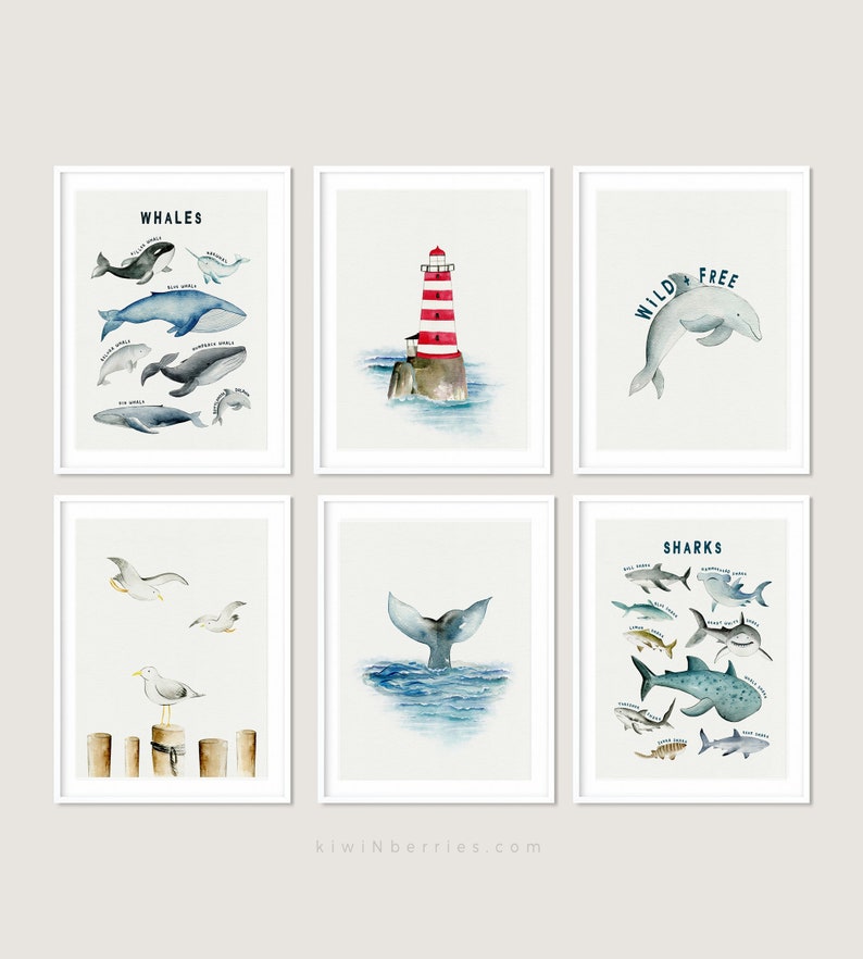 Sharks and Whales Chart Print Boys Room Decor Printable - Etsy