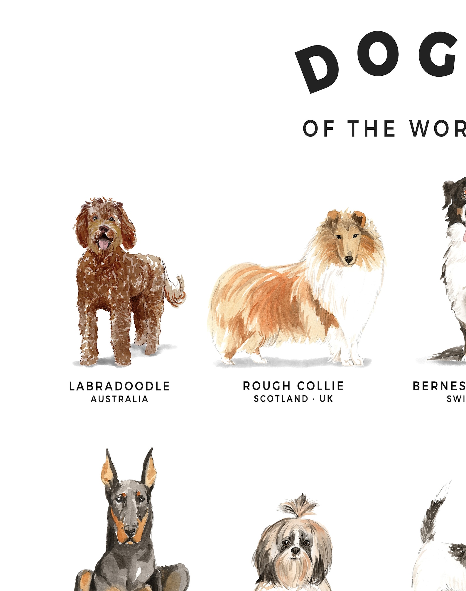 Dog Breeds Poster Dog Breeds Print Printable Wall Art Dogs - Etsy
