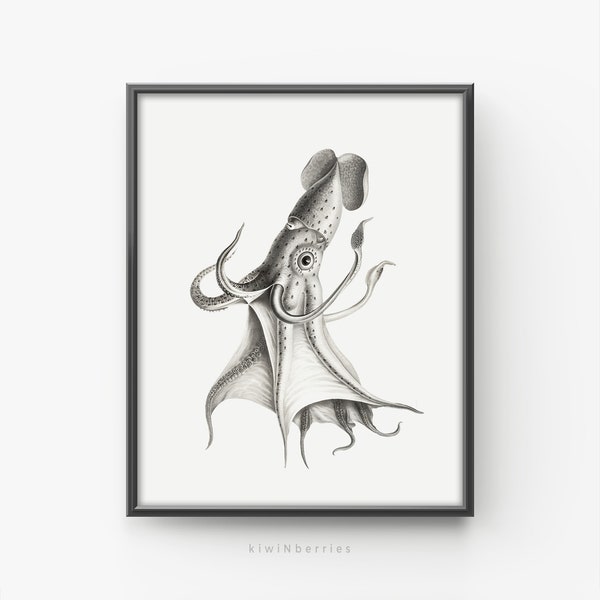 Squid Print - Etsy