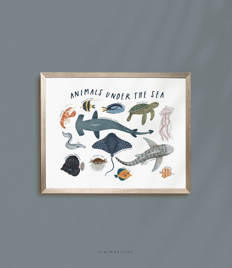 Marine Animals Poster Under the Sea Print Educational Ocean - Etsy