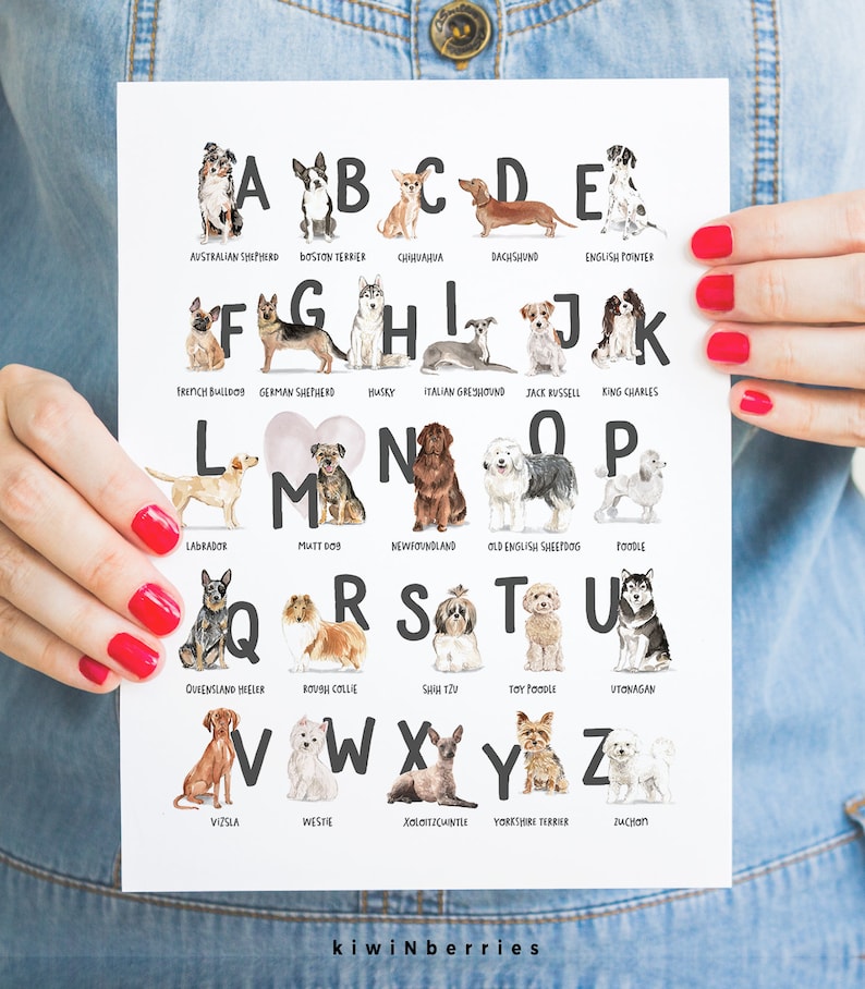 Printable Dog Alphabet A to Z Dog Breeds Print Dog Alphabet - Etsy