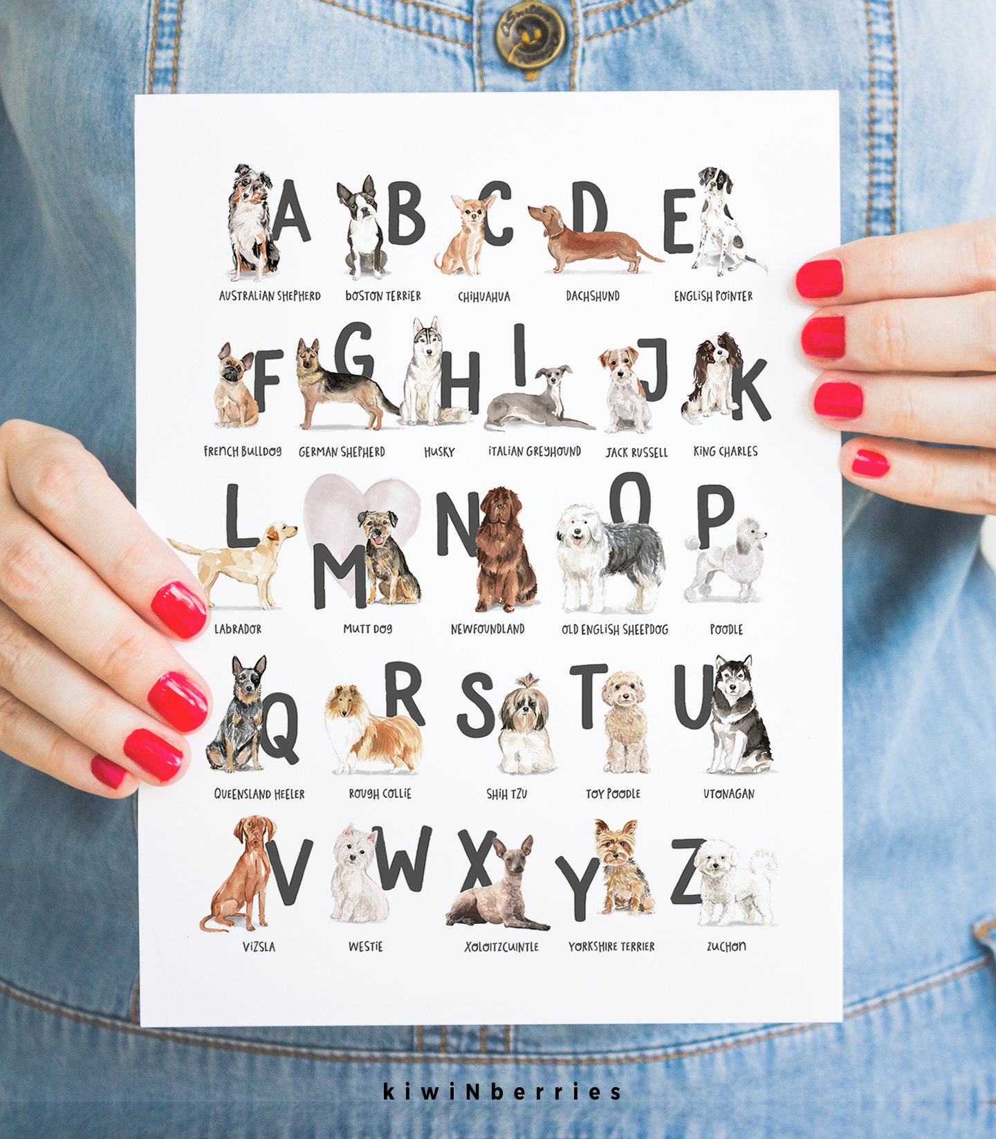 A to Z Dog Breeds Print Dog Alphabet Poster ABC Dogs Wall - Etsy