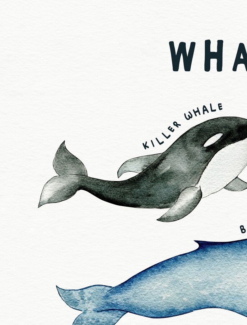 Sharks and Whales Chart Print Boys Room Decor Printable - Etsy