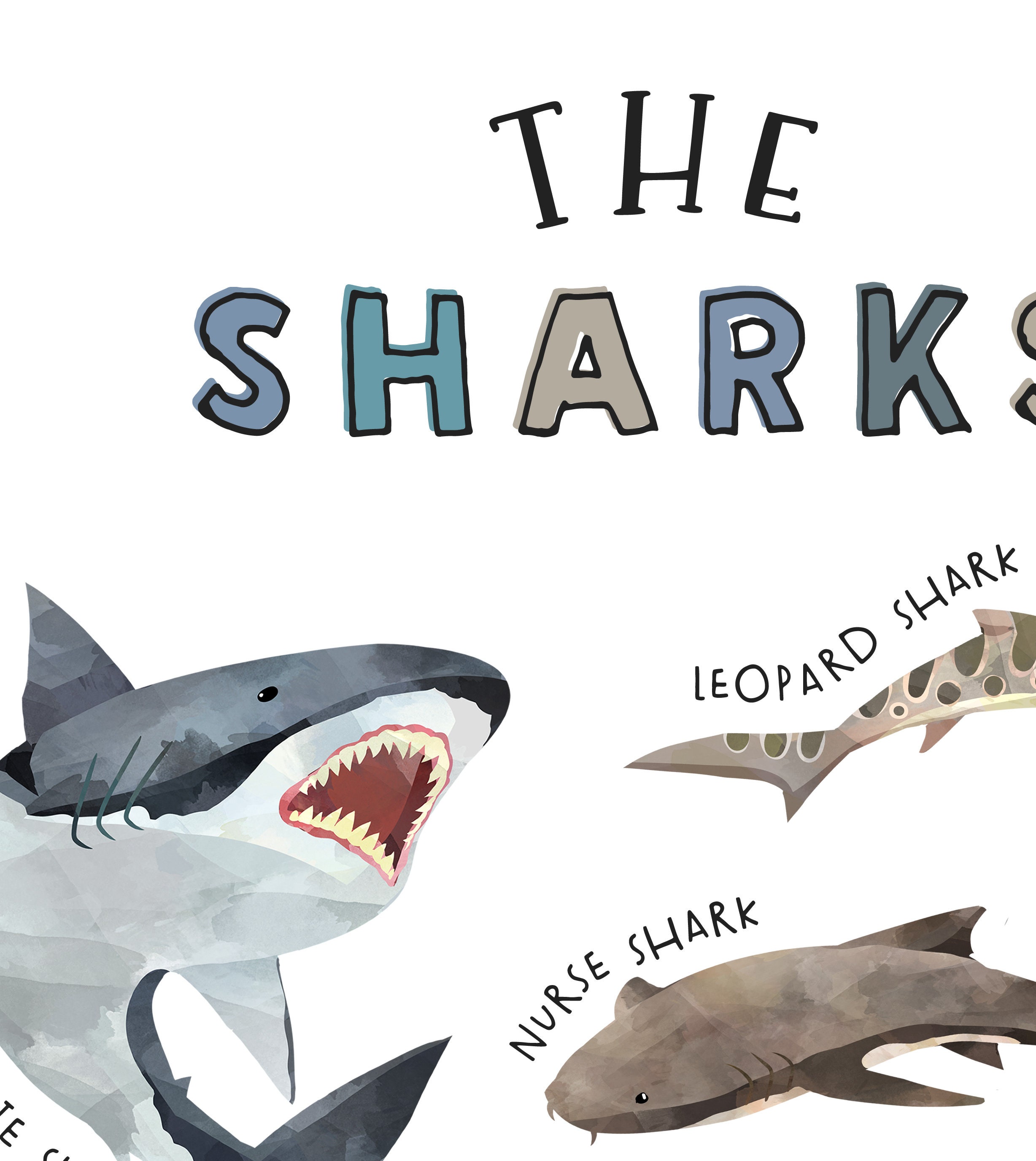 Sharks Wall Art Printable Shark Chart Shark Species Art - Etsy