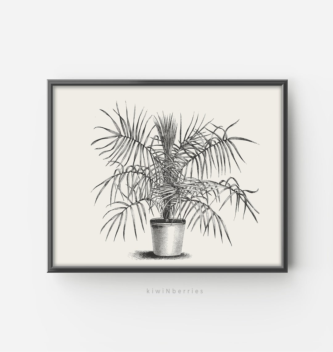 Palm Tree Print, Vintage Tree Drawing, Printable Wall Art, Downloadable ...
