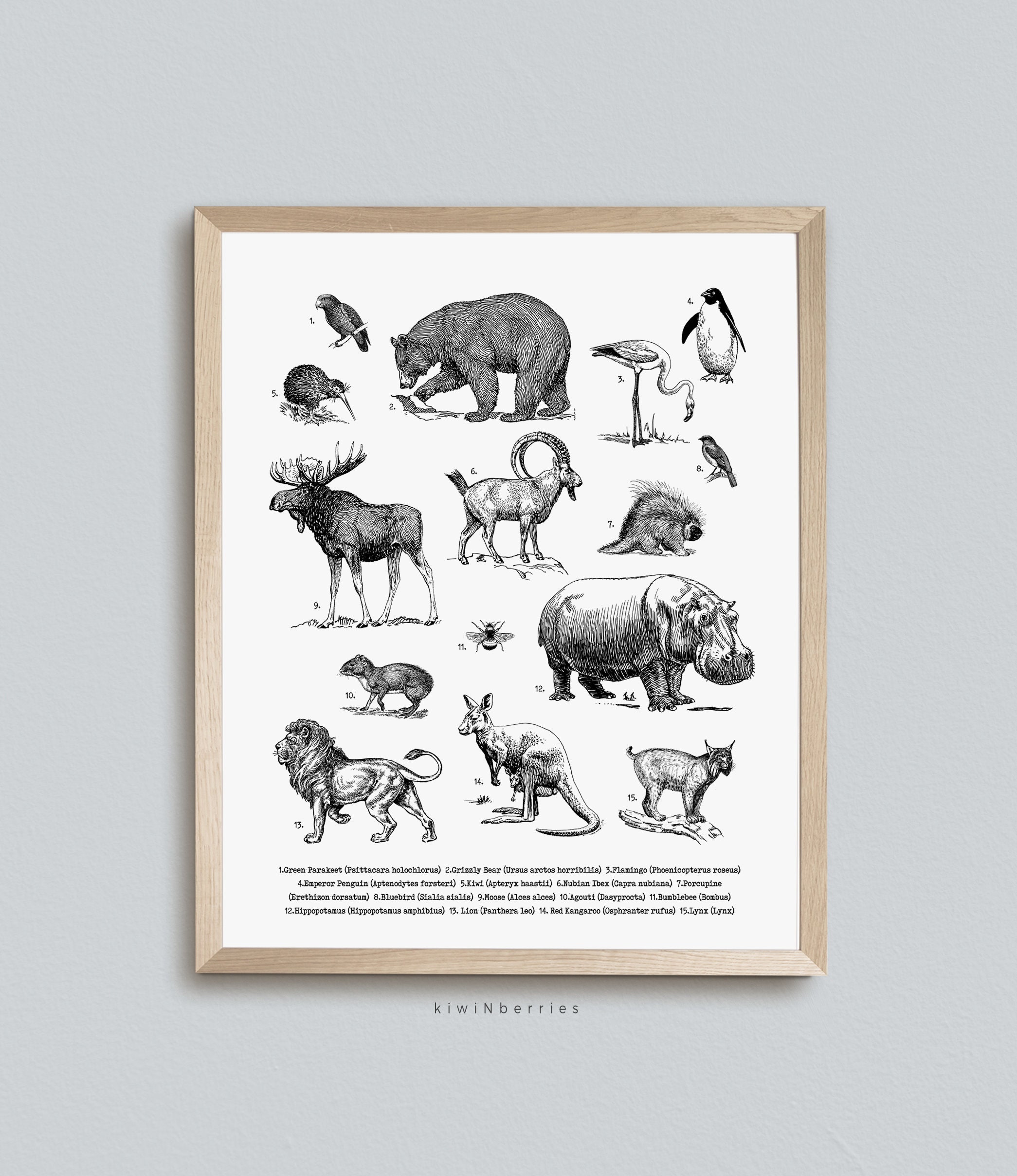 All Wild Animals Chart