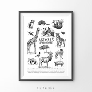 Animals of the World Poster, Animal Chart Print, Education Learning ...