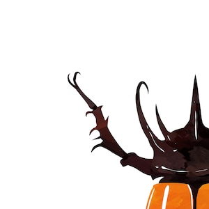 Bug Explorer Prints, Kids Playroom Decor, Kids Printable Art, Insects ...