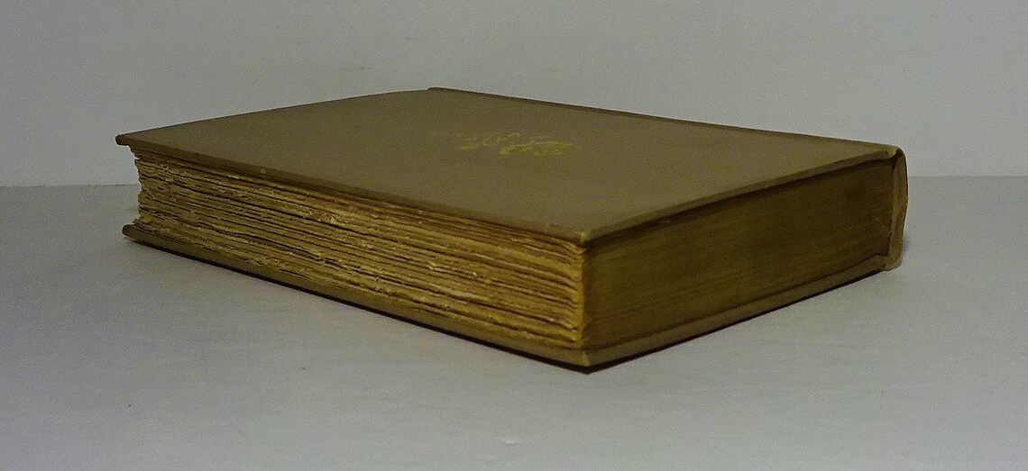 1907 A Wanderer in London by E.V. Lucas Illustrations Color | Etsy