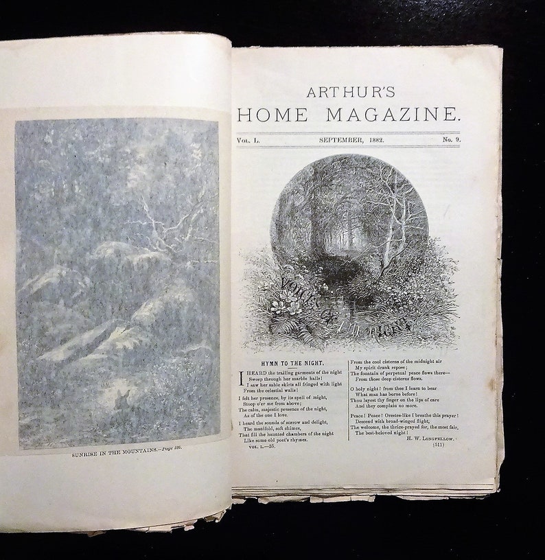 1875-1884 Arthur's Illustrated Home Magazine Lot of 20 - Etsy Italia