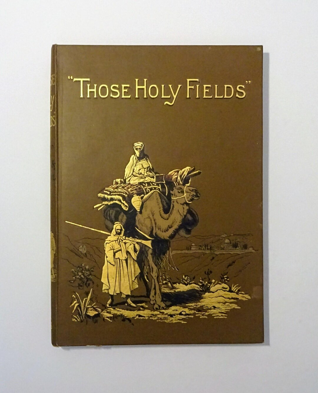 1892 PALESTINE Those Holy Fields by Samuel Manning, Illustrated, Fine ...