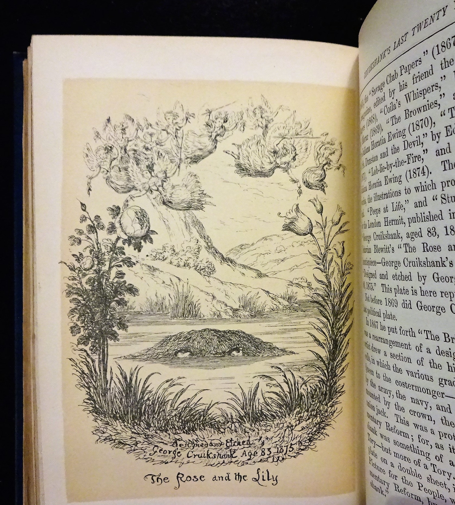 1898 the Life of GEORGE CRUIKSHANK by Blanchard Jerrold, Illustrated ...