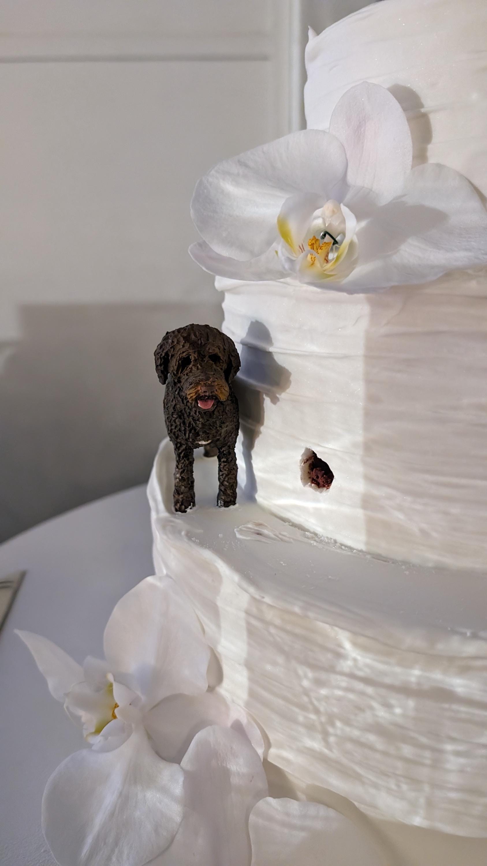 Dog Eating Wedding Cake Topper Made in Australia, Pet Cake Topper ...