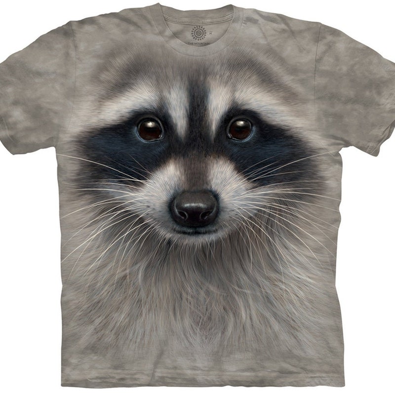 Raccoon Bandit - Etsy