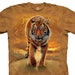 Tiger King Rising Sun Jungle the Mountain Orange Wild Majestic Exotic ...
