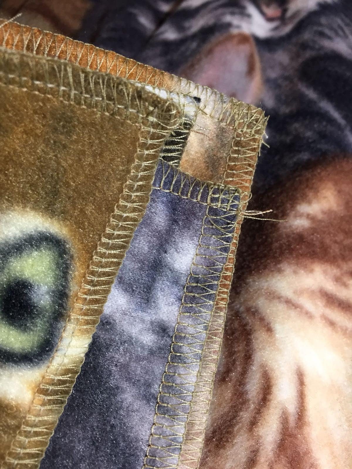 Zoofleece Cute Cats Kitten Polar Fleece Oversized 50x60" Blanket Quilt ...