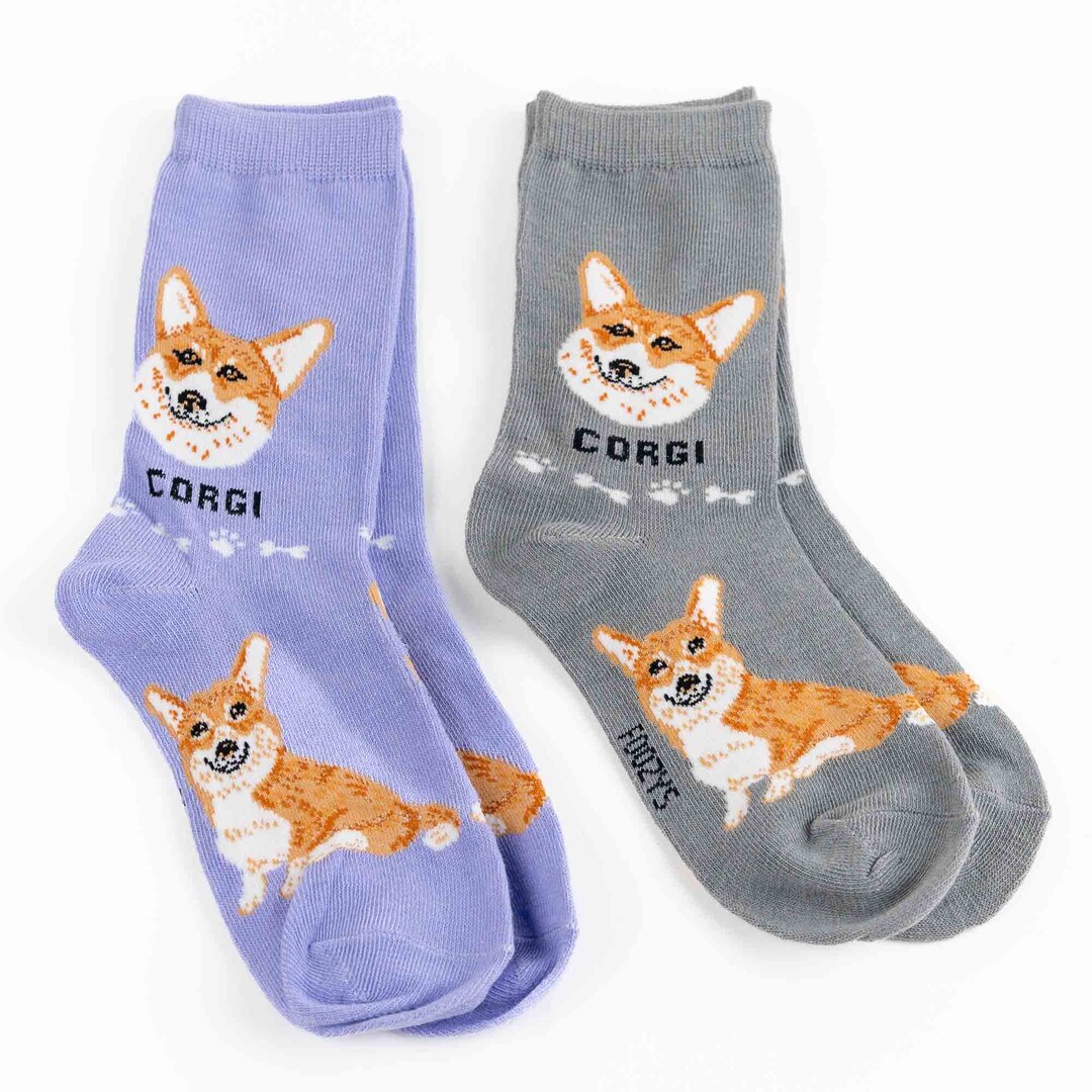 Corgi Pembroke Doge Coin Crypto Cattle Dog Protective Puppy Loyal Cute ...