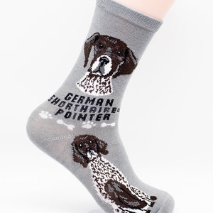 German Shorthaired Pointer Dog Rescue Friendly Animal Companion Breed ...