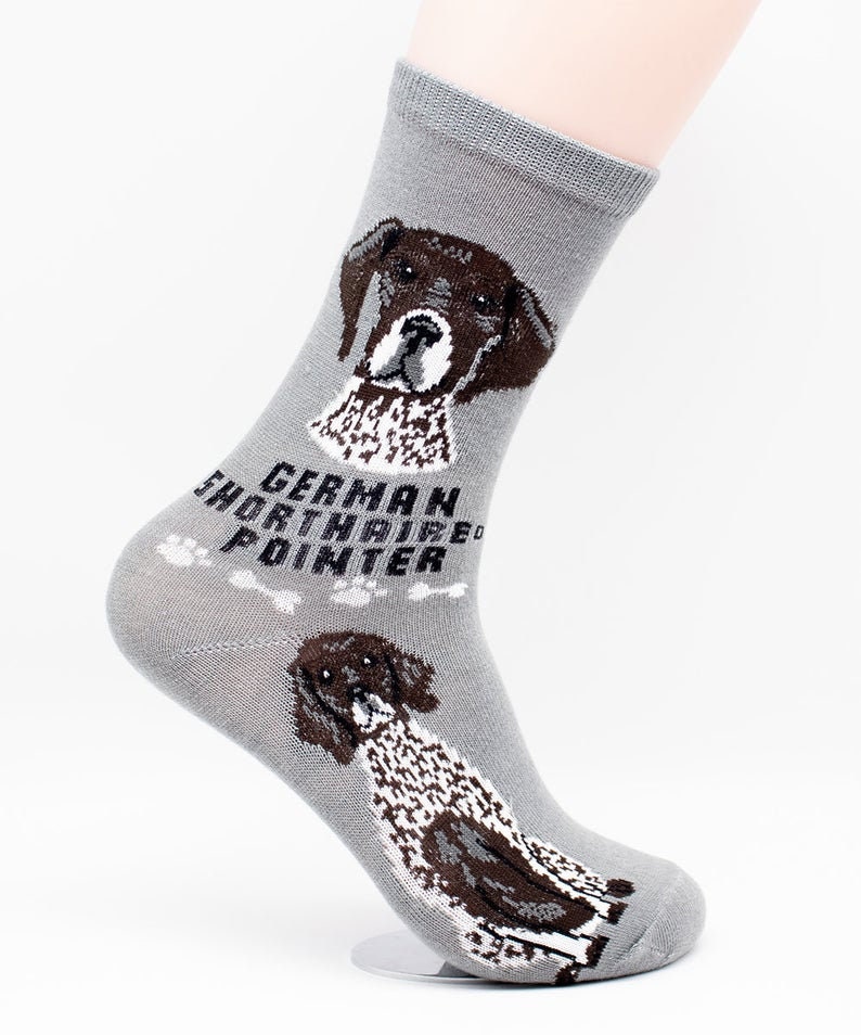 German Shorthaired Pointer Dog Rescue Friendly Animal Companion Breed ...