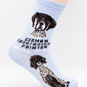 German Shorthaired Pointer Dog Rescue Friendly Animal Companion Breed ...
